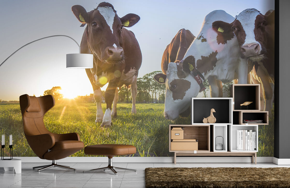 Kor tapeter - Wallgroup Fototapet