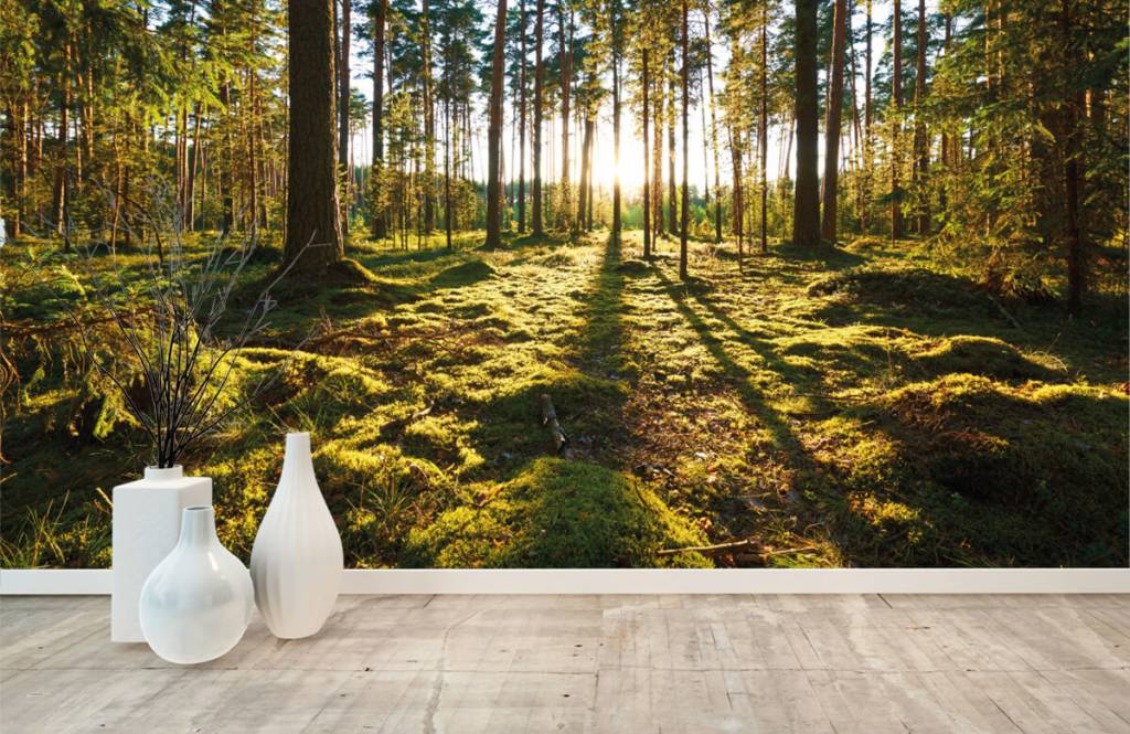 tallskog - Wallgroup Fototapet