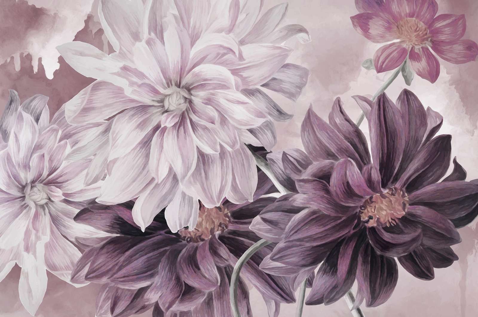 Fototapet - Dahlias Purple - Tapet.com
