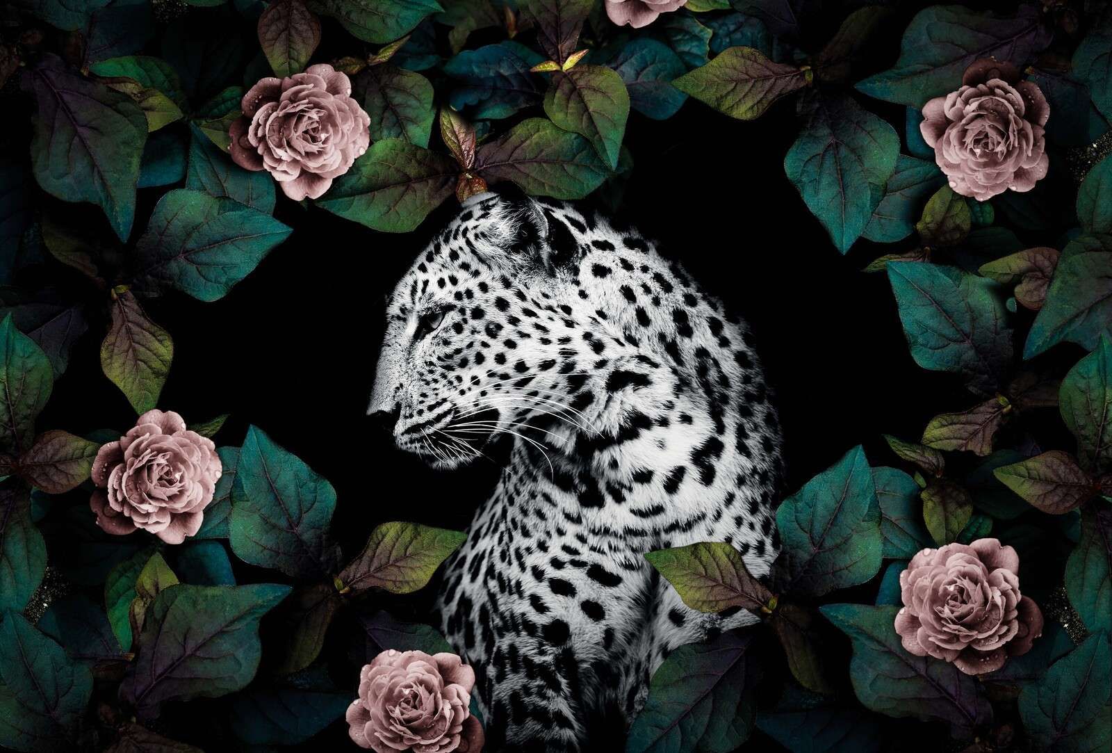 Fototapet - Leopard mellan sammetsblommor - Tapet.com