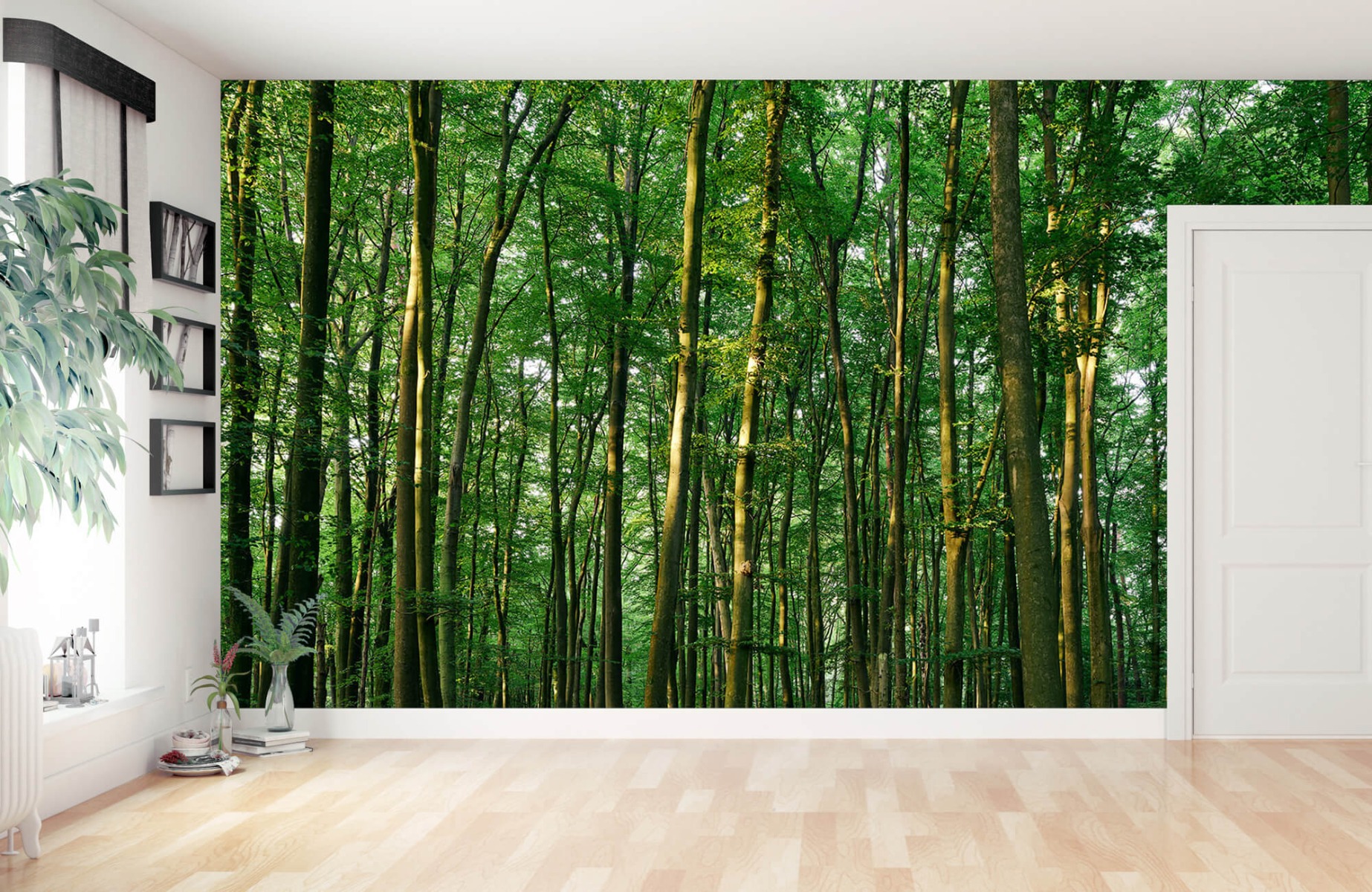 Grön skog - Wallgroup Fototapet