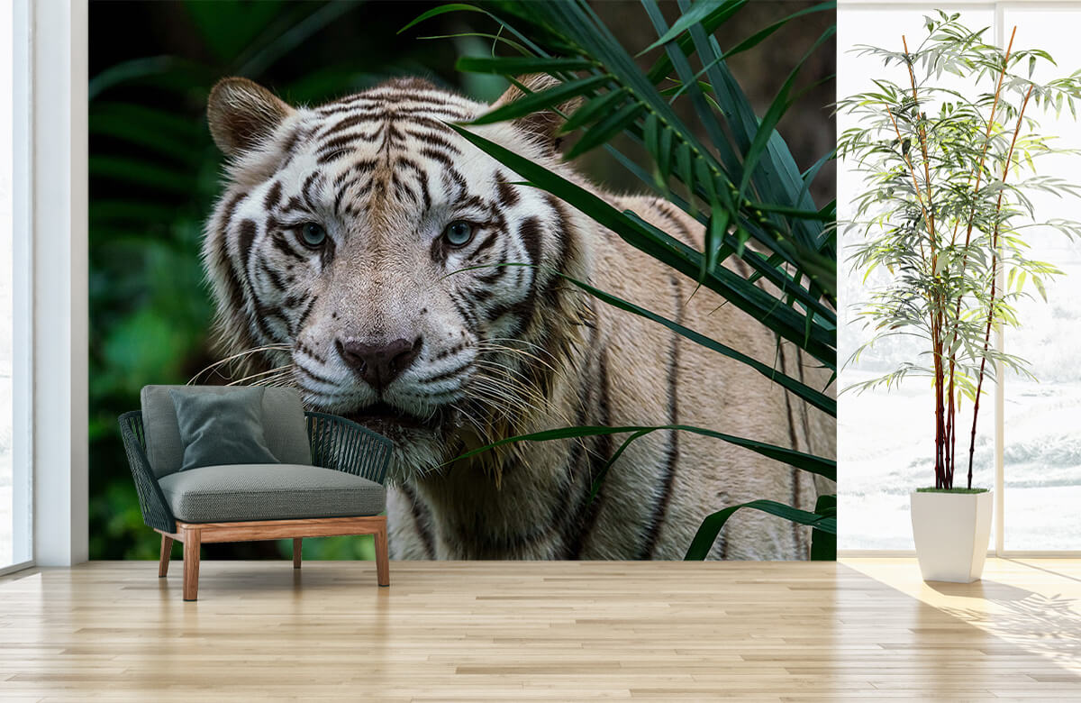 Vit tiger - Wallgroup Fototapet