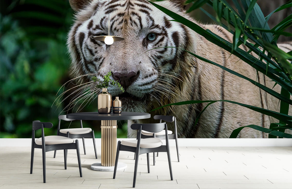 Vit tiger - Wallgroup Fototapet